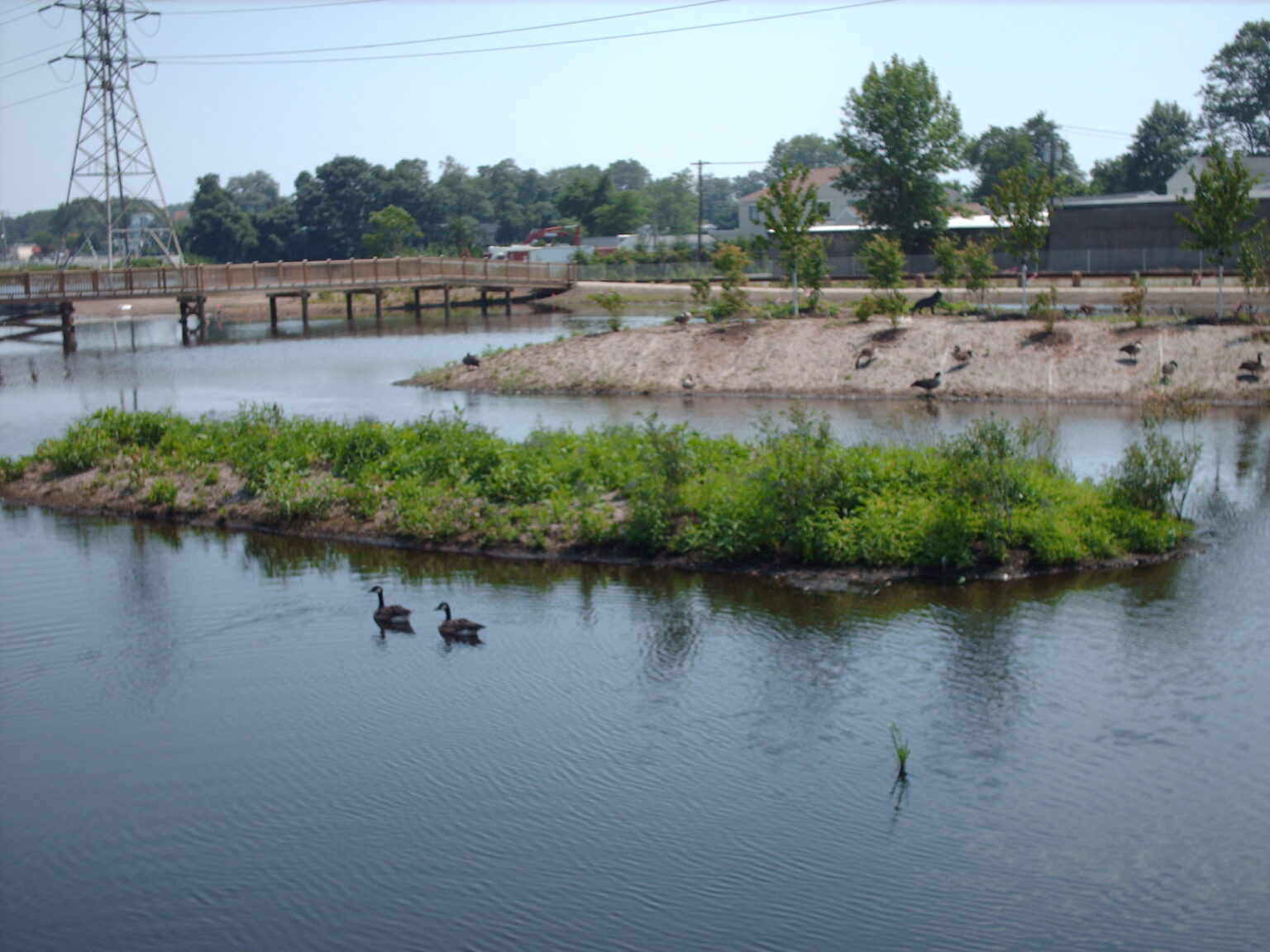 Wetland Restoration - Guerrera Construction